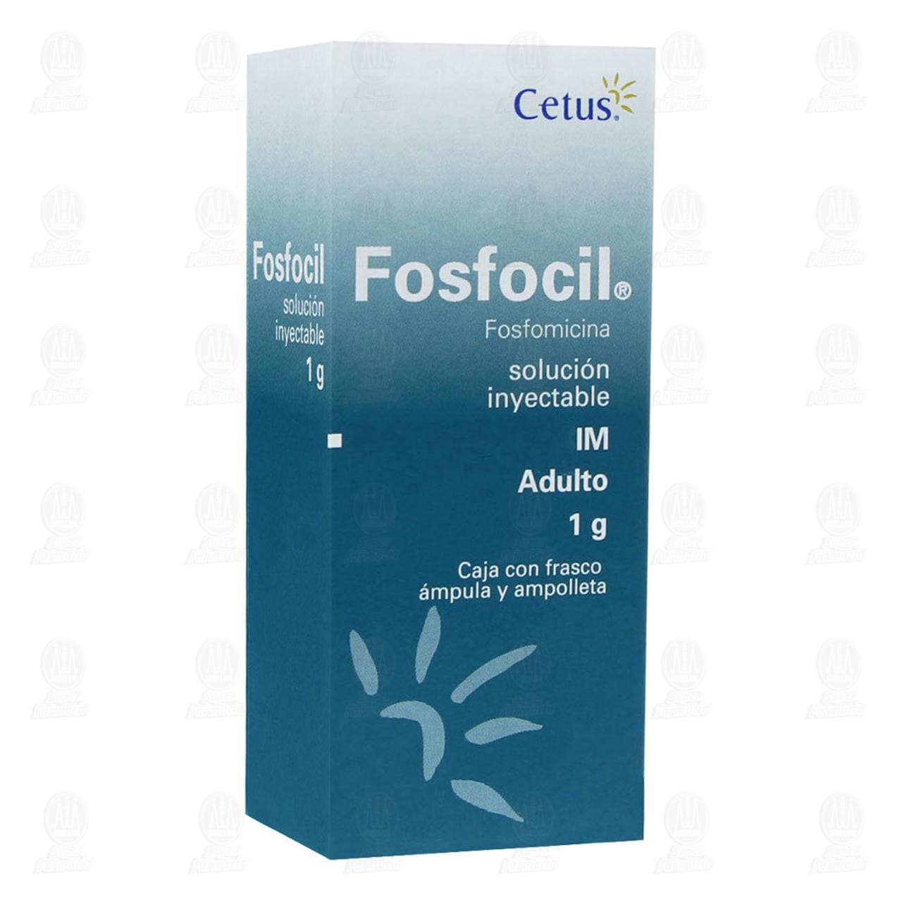 Fosfocil Solución Inyectable IM Adulto, 1 gr. de FOSFOCIL | Farmacias ...
