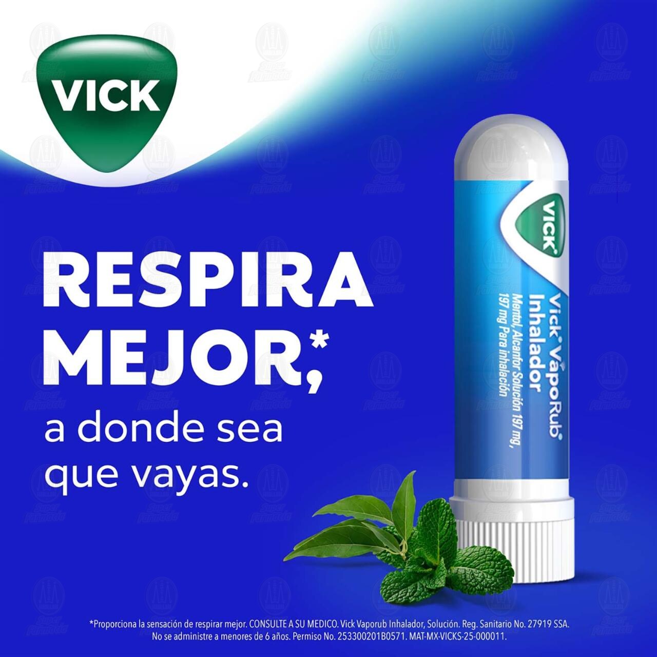 Pack Vick Vaporub Inhalador Solución, 2 pzas. de VICK | Farmacias ...